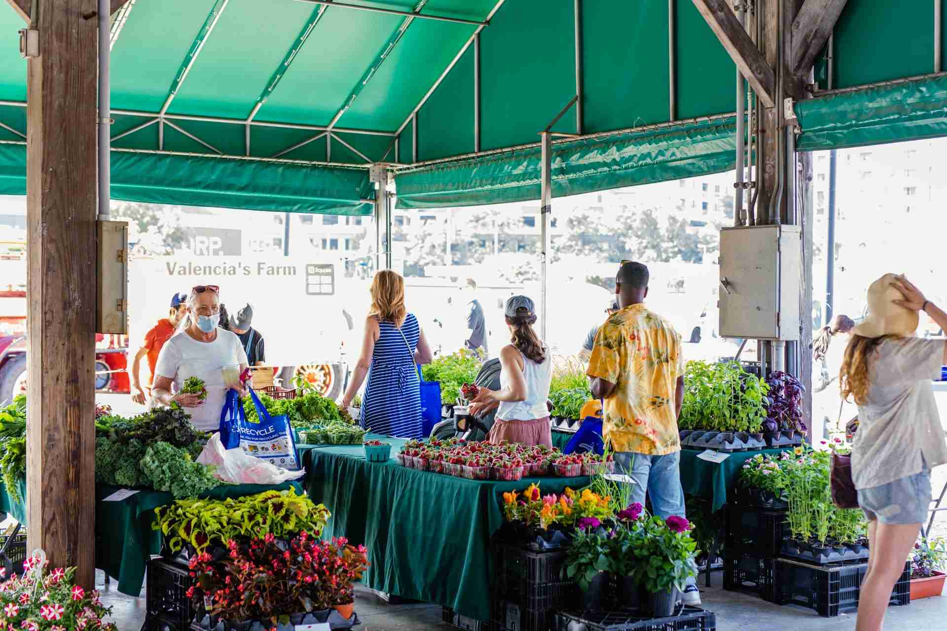 BMI Farmers Market Local - Support The Baltimore Museum of Industry
